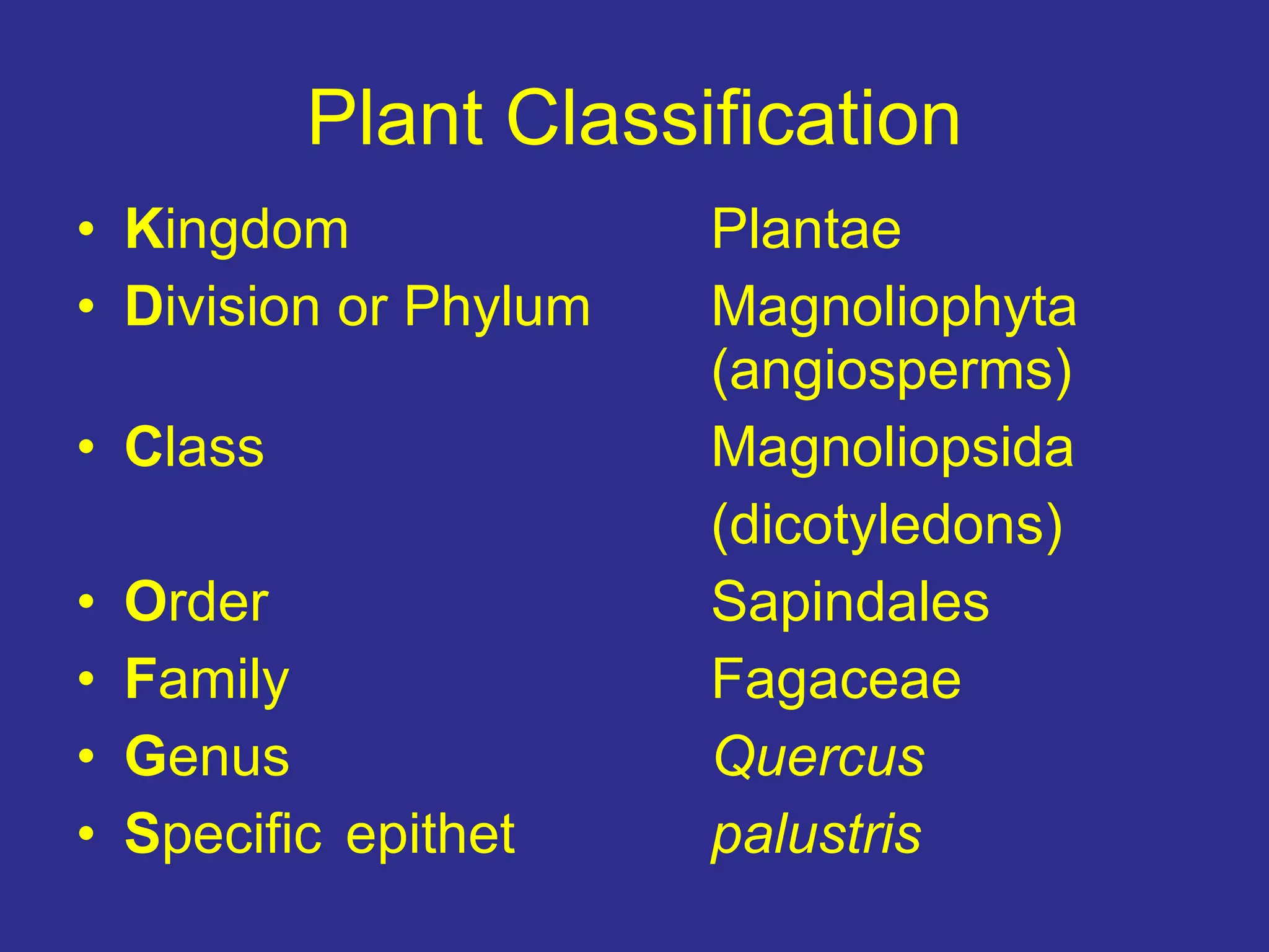 Chapter 2 identification | PPT