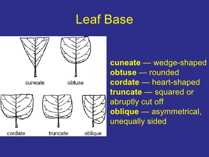Chapter 2 identification