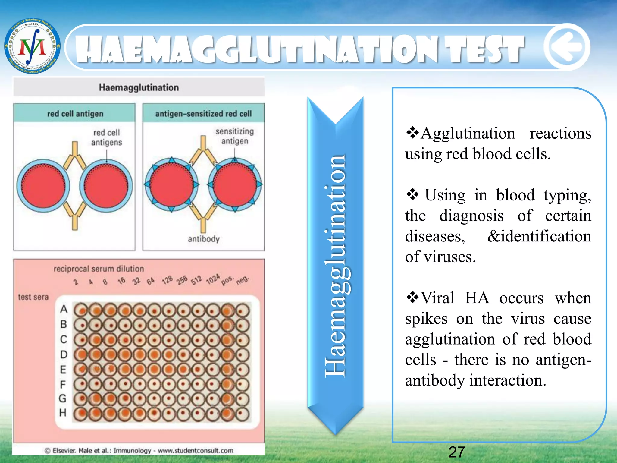 Chapter2 immuno lab presentation | PDF