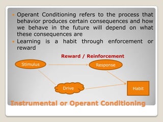 Chapter 2 individual learning and behaviour | PPTX