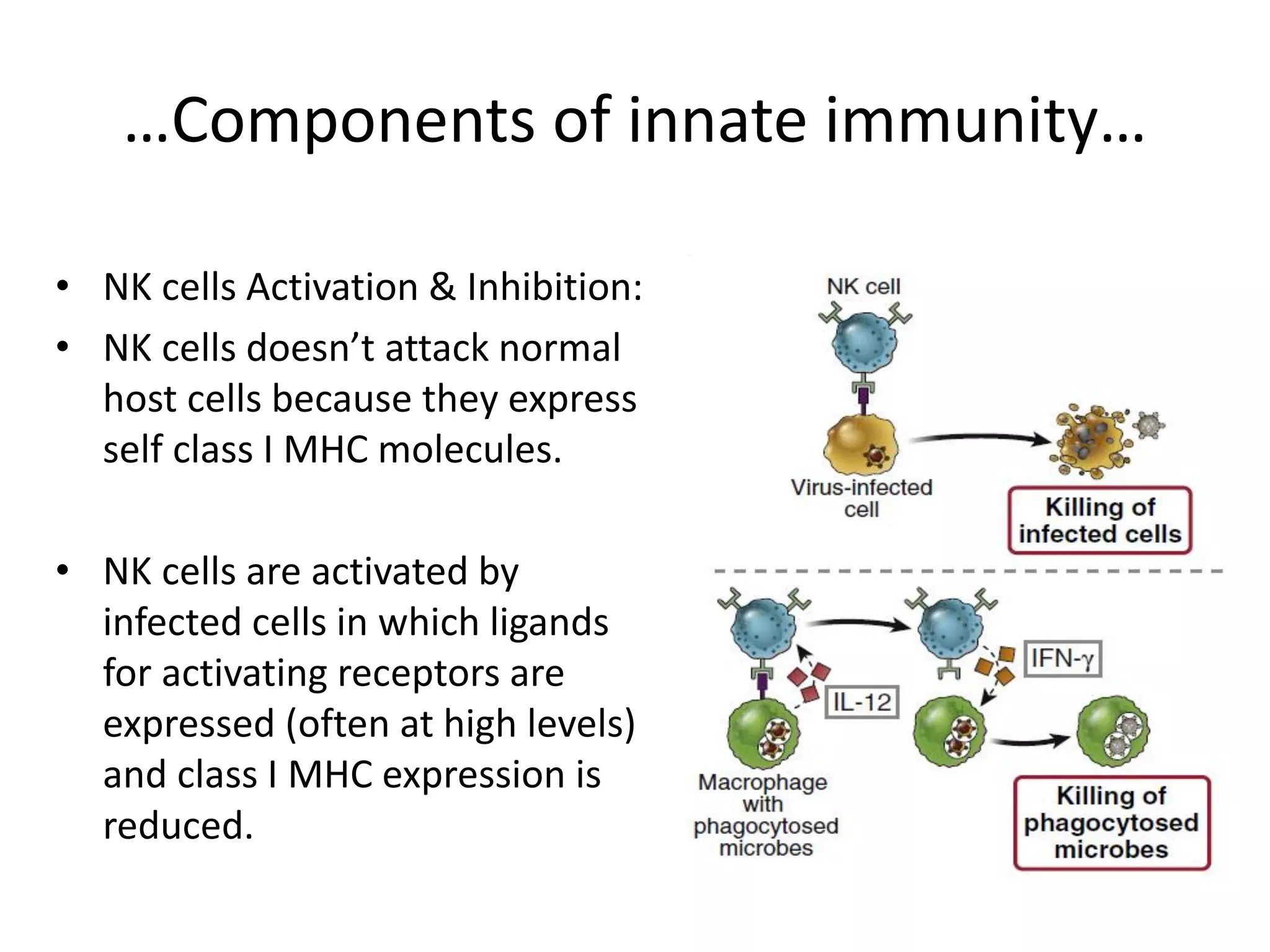 Chapter 2 Innate Immunity.pdf