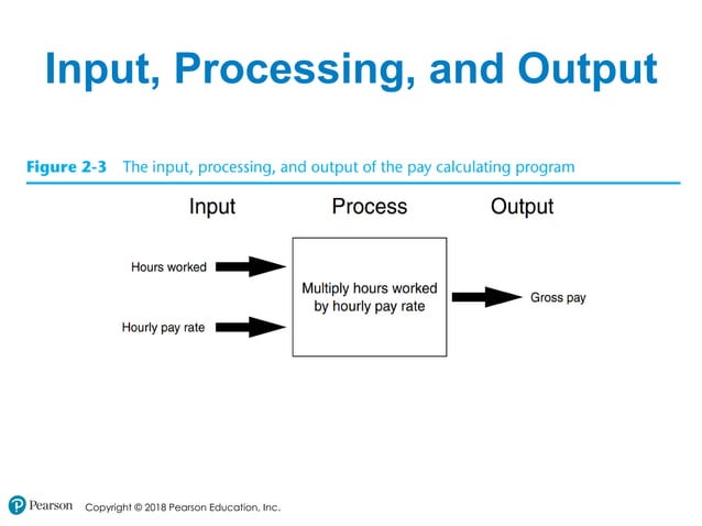 Chapter 2 Input,Processing and Output.pdf