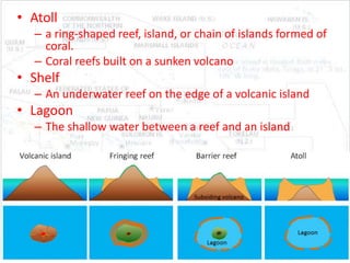 Chapter 2 Islands of Oceania | PPTX