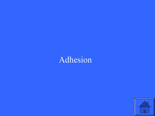 Chapter 2 jeopardy review | PPT | Chemistry | Science