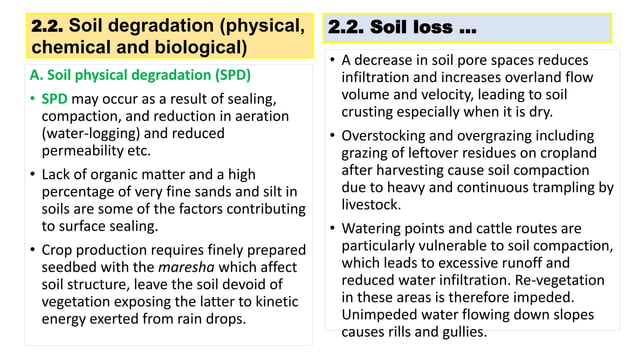 Chapter 2 LDR_2024.ppsx