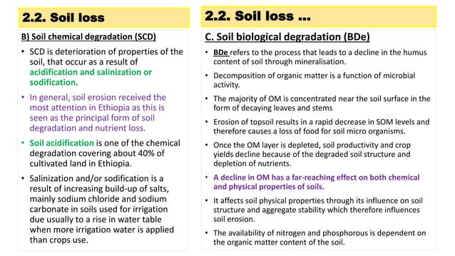 Chapter 2 LDR_2024.ppsx