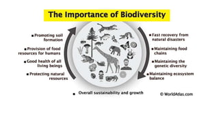 Chapter 2 LDR_2024.ppsx