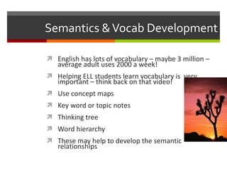Chapter 2 learning about language structure | PPT