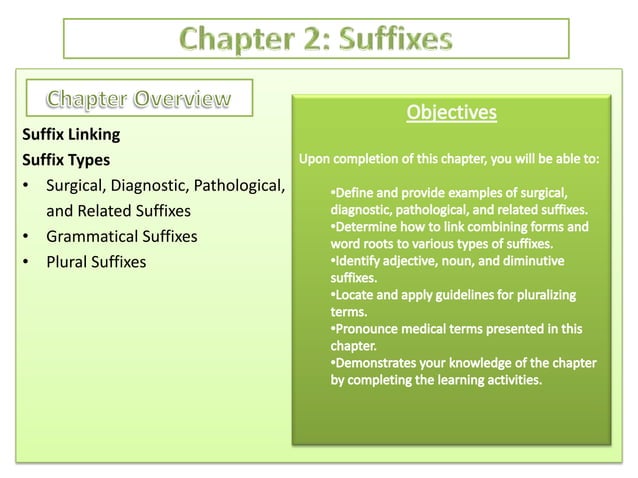 Chapter 2: Suffixes | PPTX