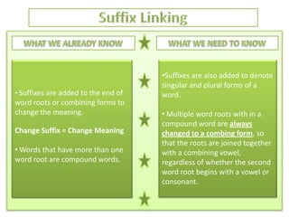 Chapter 2: Suffixes | PPTX