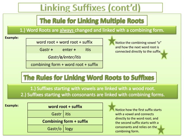 Chapter 2: Suffixes | PPTX