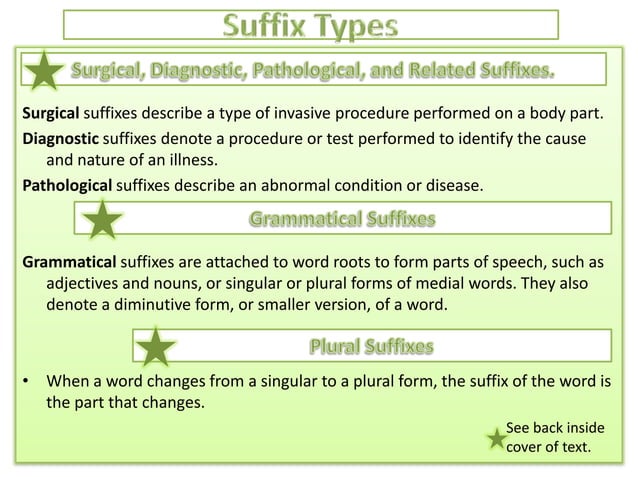Chapter 2: Suffixes | PPTX