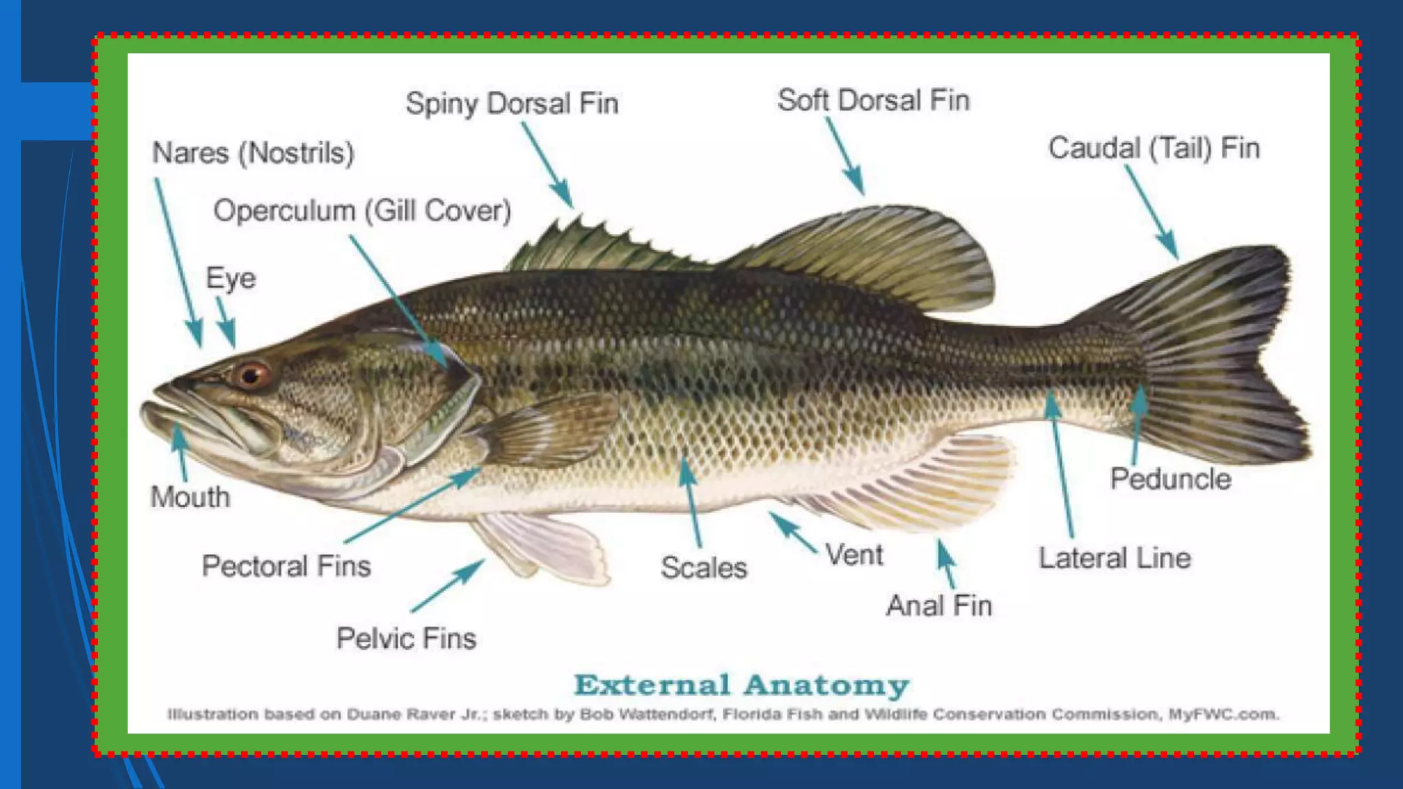 TLE 8 Chapter 2 Lesson 1 | PPTX
