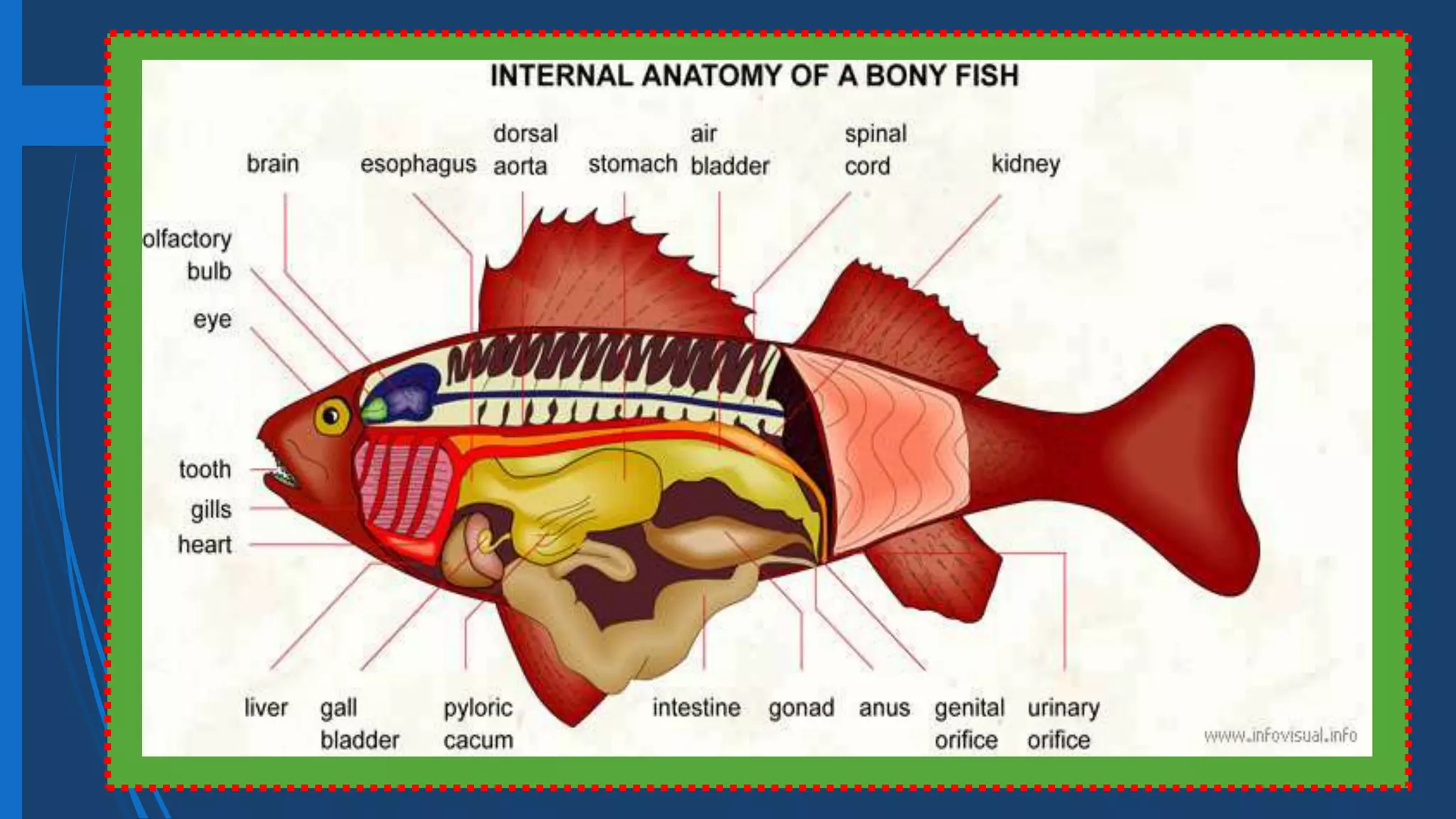 TLE 8 Chapter 2 Lesson 1 | PPTX