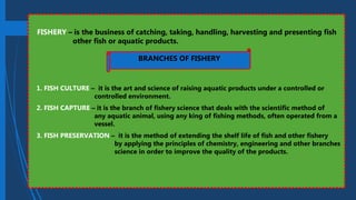 TLE 8 Chapter 2 Lesson 1 | PPTX