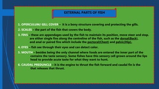 TLE 8 Chapter 2 Lesson 1 | PPTX