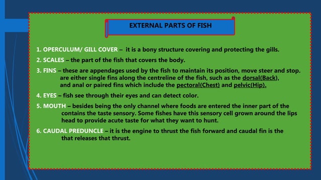 TLE 8 Chapter 2 Lesson 1 | PPTX