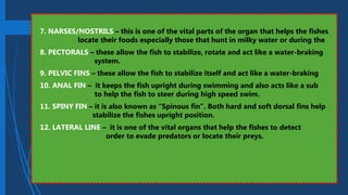 TLE 8 Chapter 2 Lesson 1 | PPTX