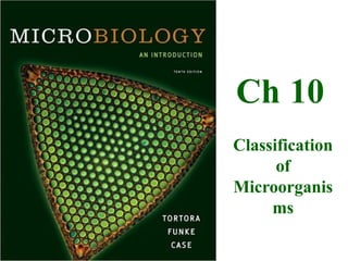 Chapter 2 Lesson 1_Taxonomy or Classification of Microorganisms.pptx