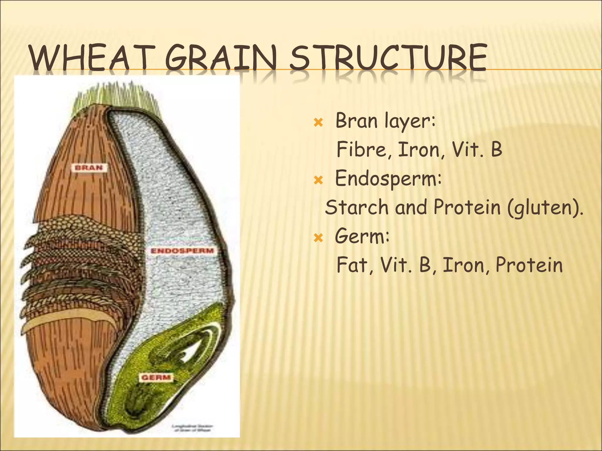 Chapter 2 lesson 1 preparing cereal dishes | PPTX