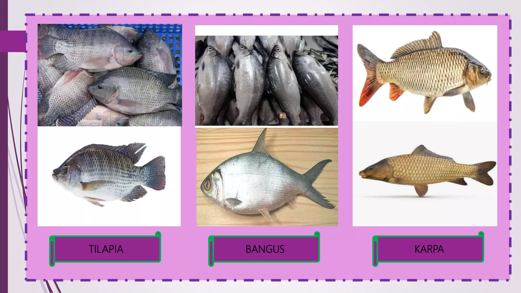 TLE 8 Chapter 2 lesson 2 | PPTX