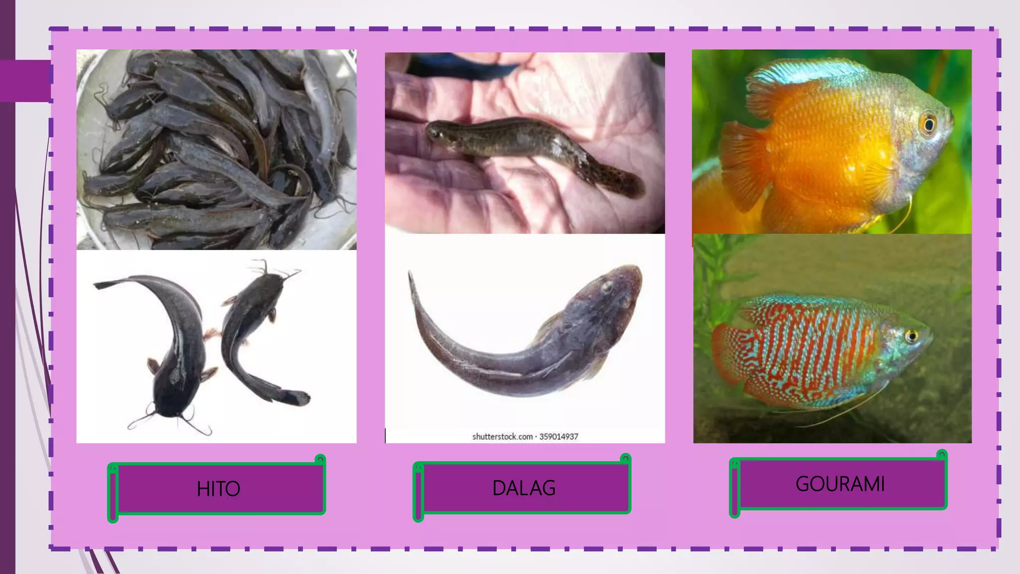 TLE 8 Chapter 2 lesson 2 | PPTX