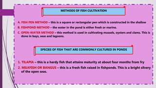 TLE 8 Chapter 2 lesson 2 | PPTX