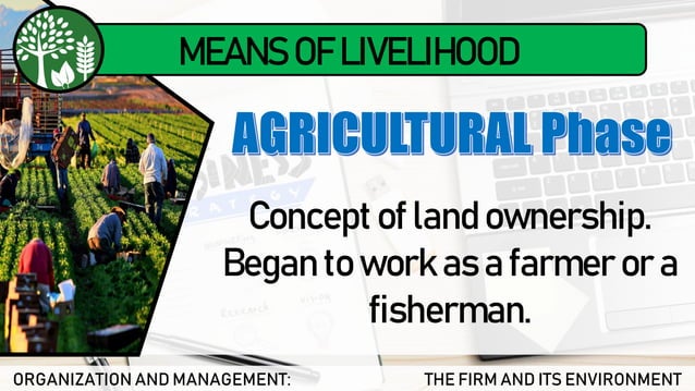 Chapter 2 lesson 3 phases of economic development | PDF