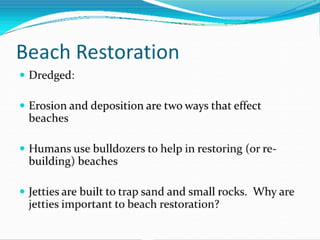 Chapter 2 lesson 4 sci | PPT