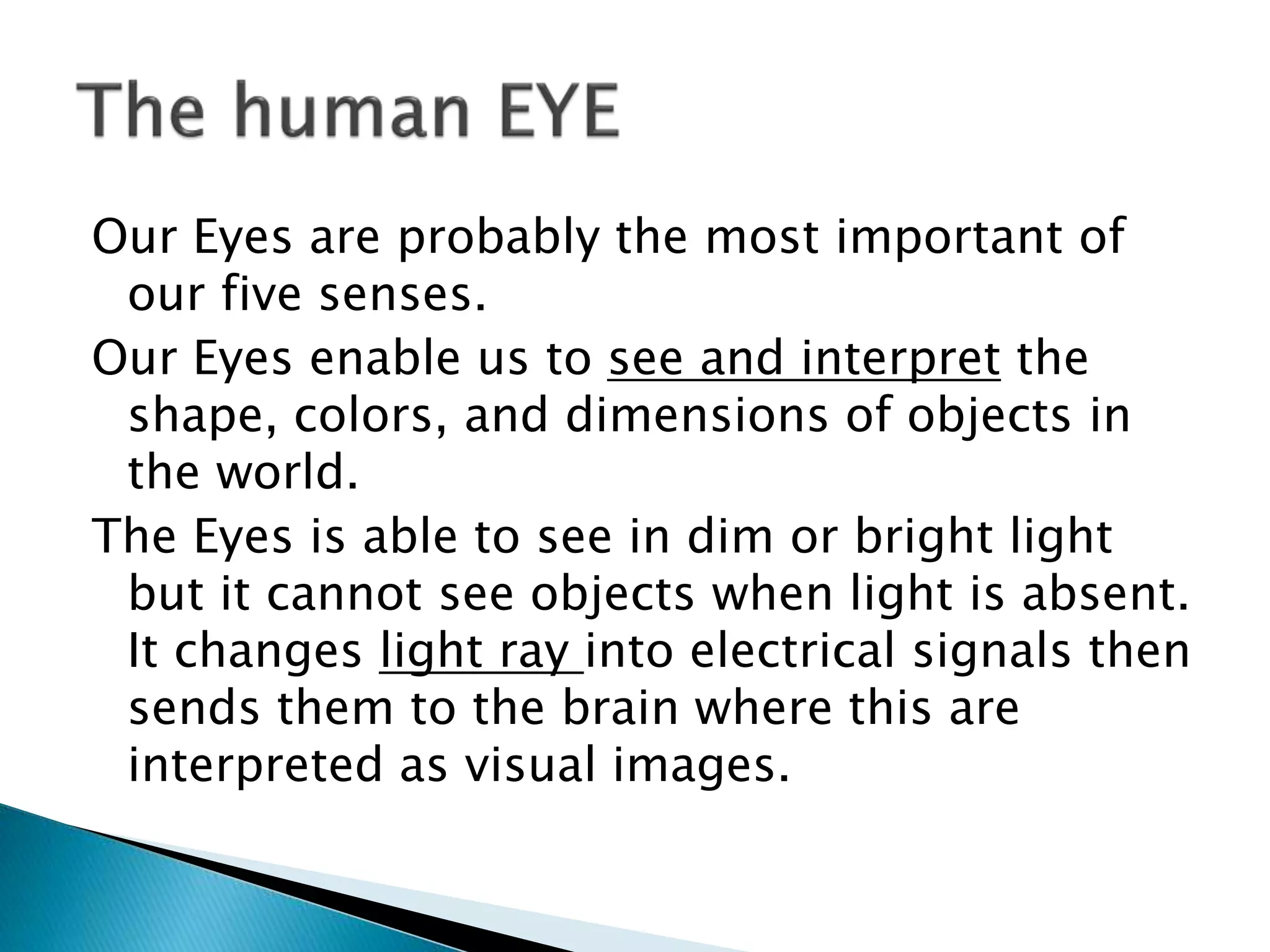 light and sight | PPTX