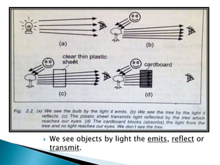 light and sight | PPTX