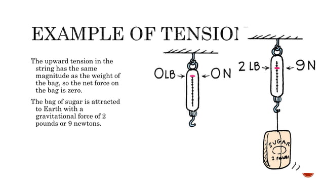 Chapter 2 mechanical equilibrium watson | PPTX