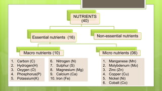 CHAPTER 2 Microbial nutrition P1 khg.pptx | Free Download