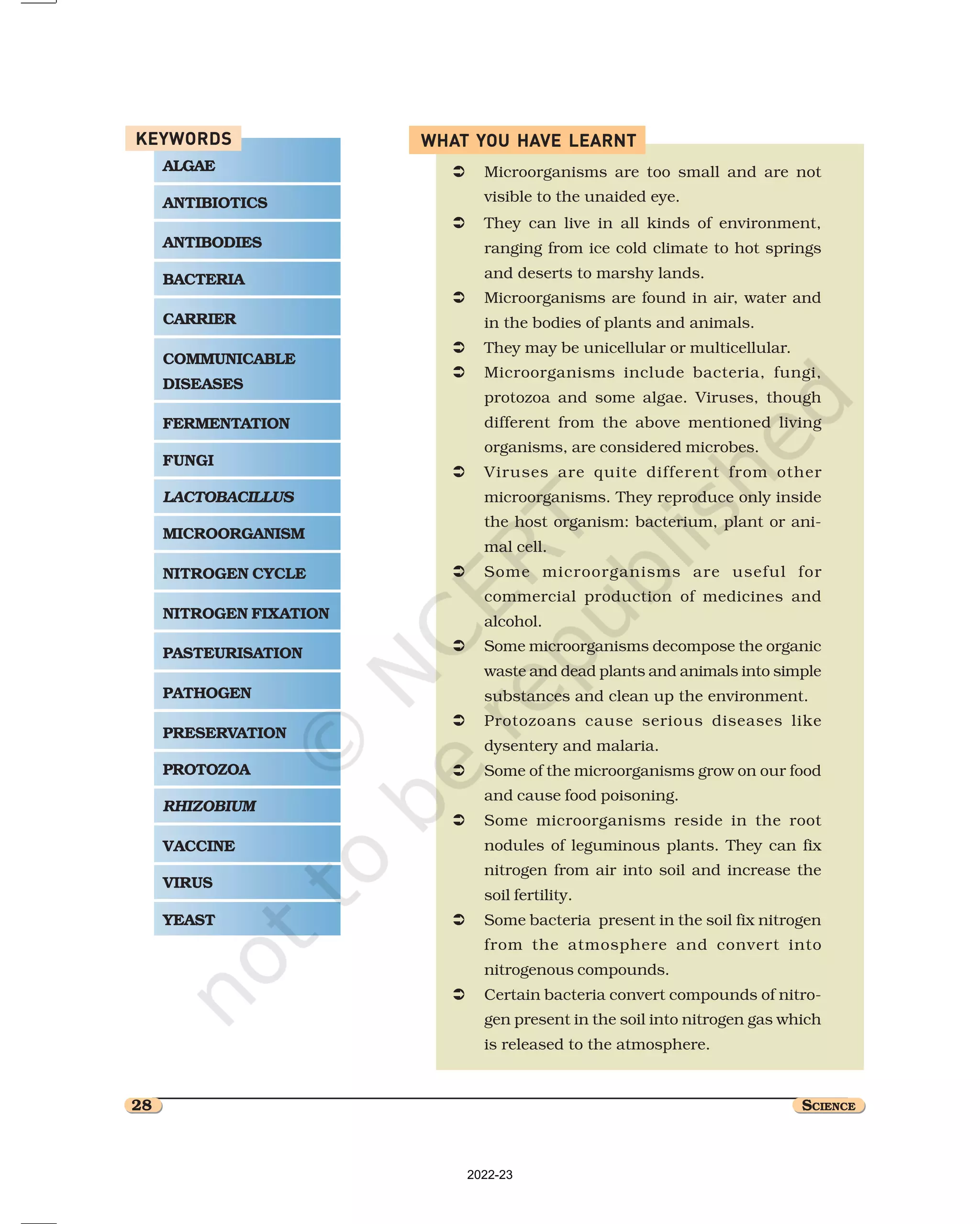 chapter 2 microoorgamnism.pdf