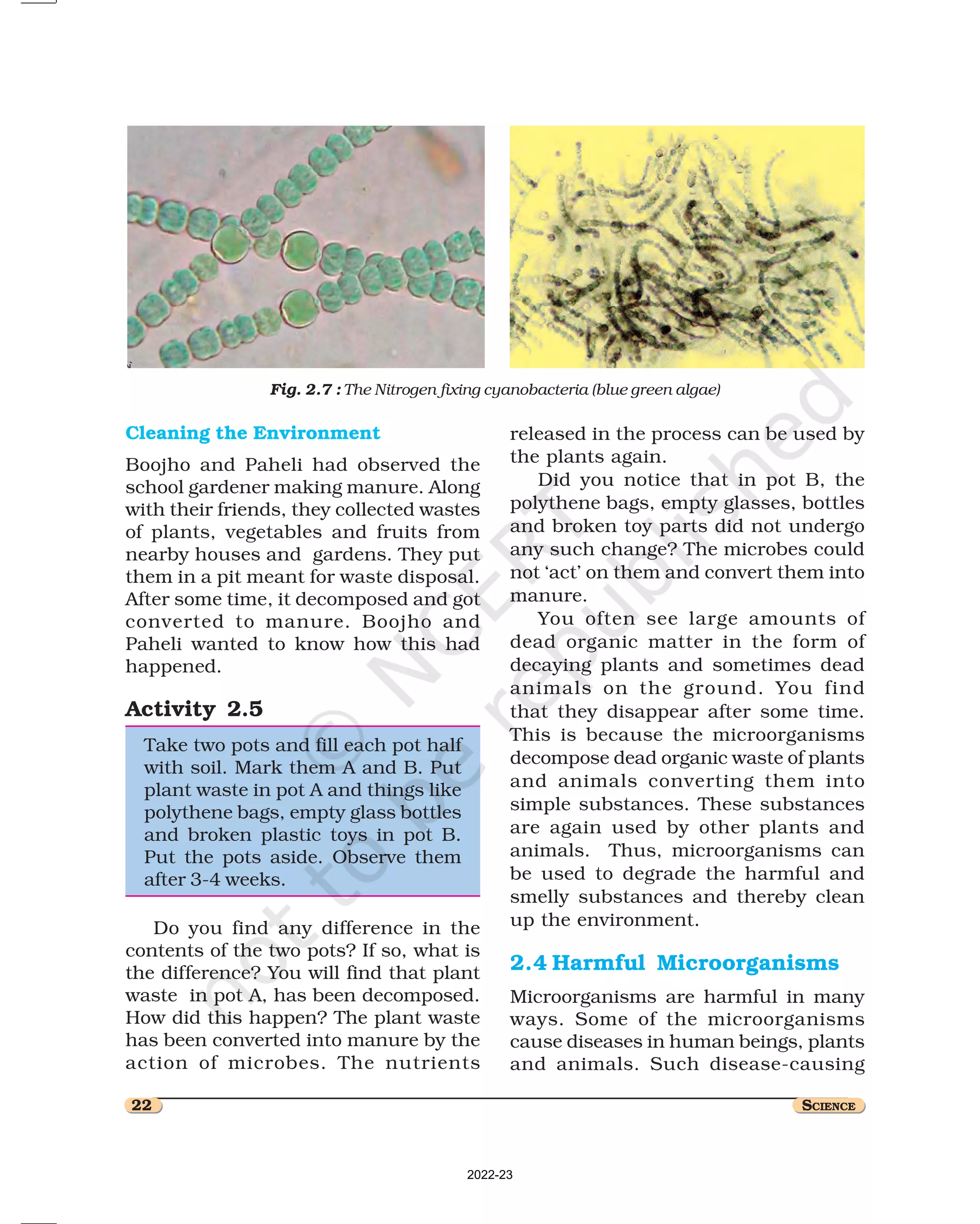 chapter 2 microoorgamnism.pdf