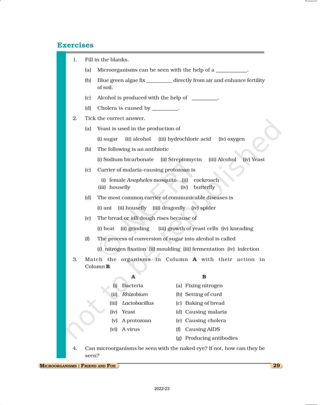 chapter 2 microoorgamnism.pdf