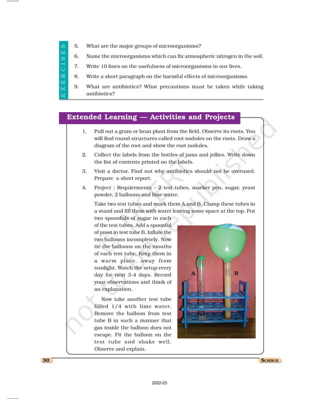 chapter 2 microoorgamnism.pdf