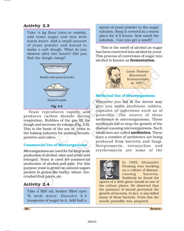 chapter 2 microoorgamnism.pdf | Food & Drink