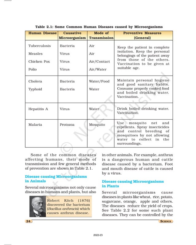 chapter 2 microoorgamnism.pdf