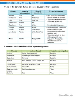 CBSE Grade 8 Science Ch 2 Micro Organisms - Friend or Foe Notes | PDF