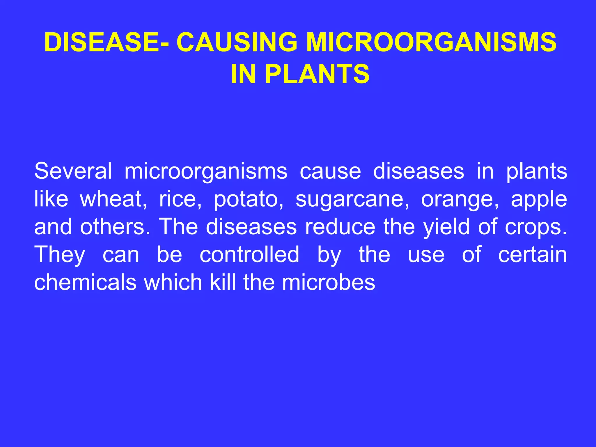 Chapter 2_microorganisms friends and foe_CBSE_Class8 | PPT