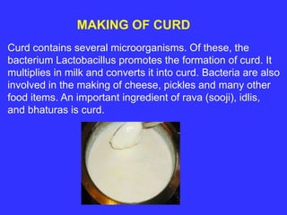 Chapter 2_microorganisms friends and foe_CBSE_Class8 | PPT