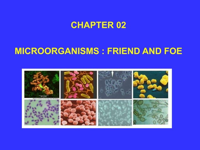 Chapter 2_microorganisms friends and foe_CBSE_Class8 | PPT | Infectious ...