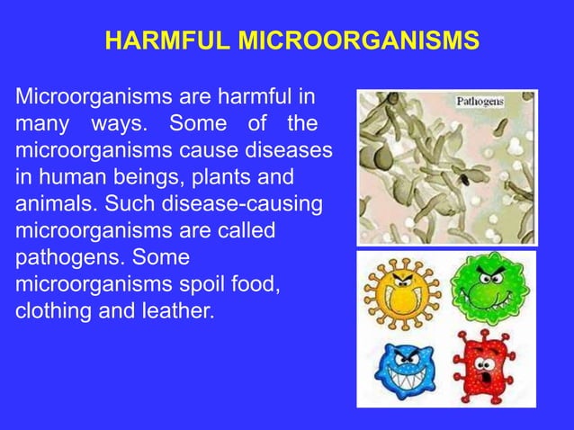 Chapter 2_microorganisms friends and foe_CBSE_Class8 | PPT | Infectious ...