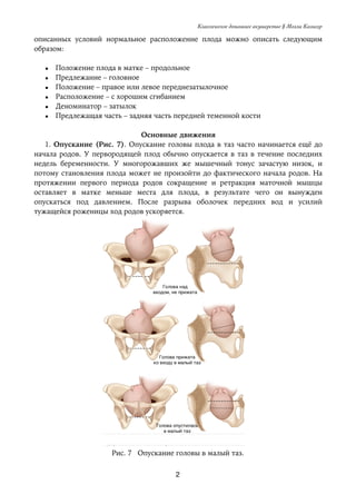 Classical Home Midwifery, ch. 2, Molly Caliger (Russian) | PDF