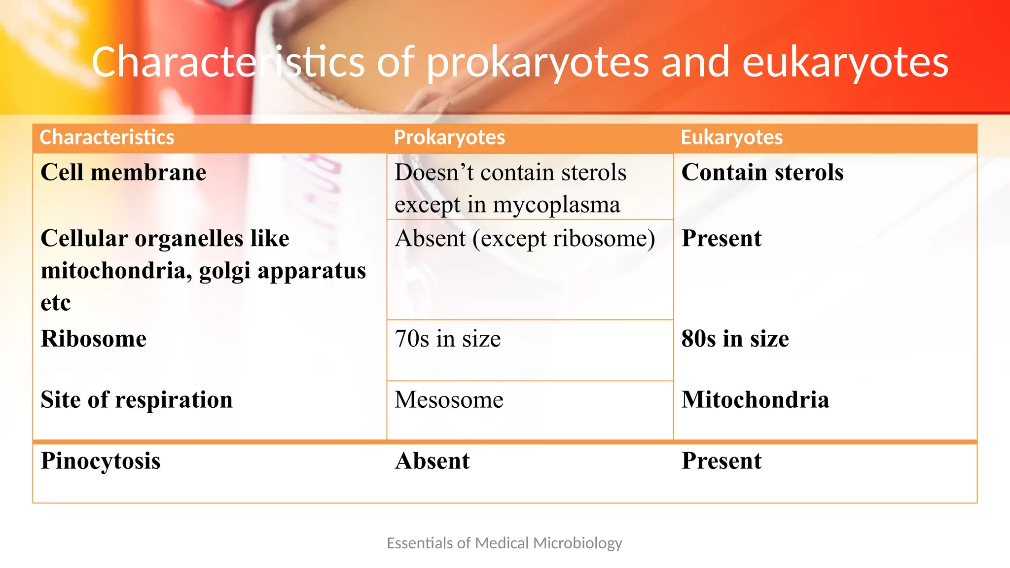 Chapter 2 Morphology and Physiology of Bacteria.pptx