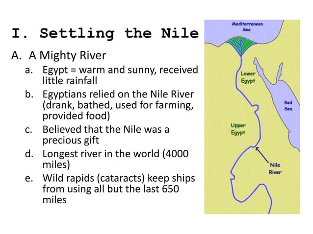 Chapter 2 Section 1 Notes | PPT | Free Download