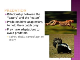 Chapter 2 Slides | PPTX