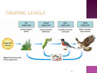 Chapter 2 Slides | PPTX