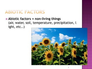 Chapter 2 Slides | PPTX